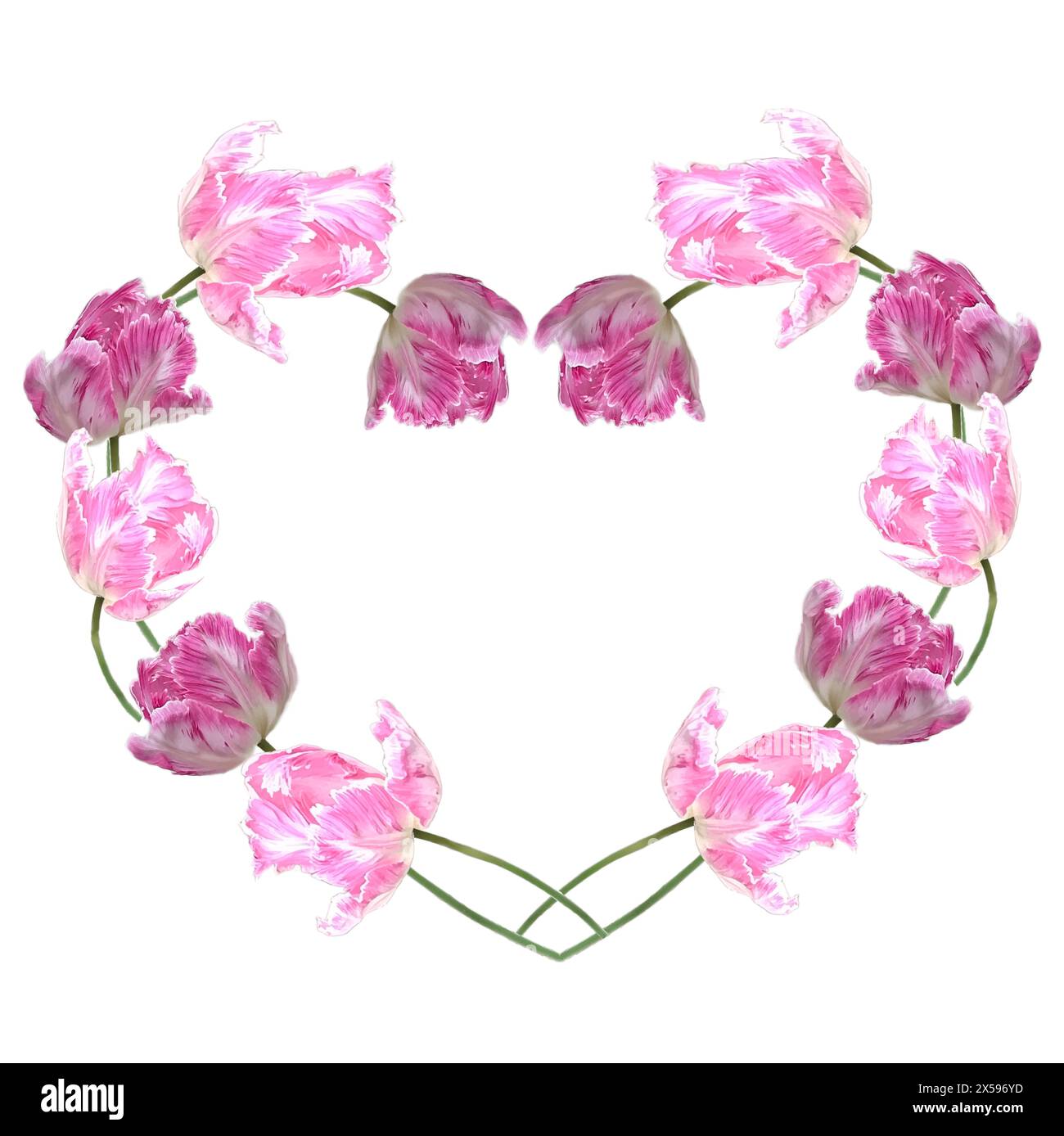Tulip surrounded Stock Vector Images - Alamy