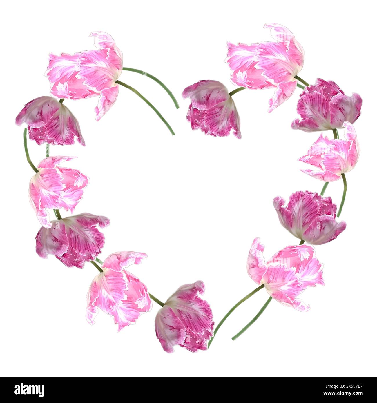 A heart made of pink tulips flowers. The flowers are arranged in a ...