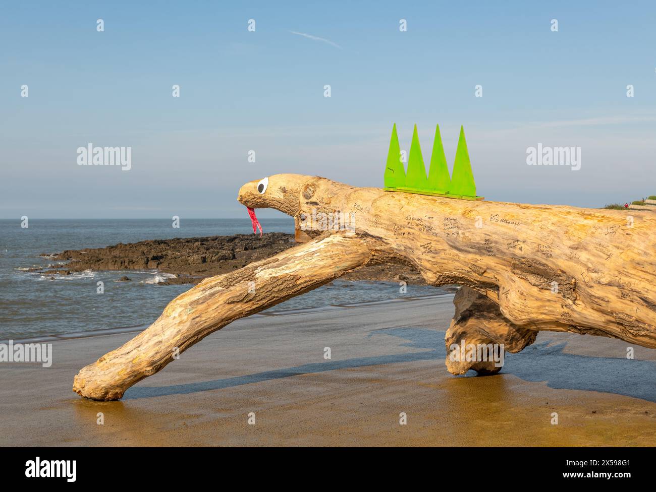 Lizzy the lizard stares out to sea Stock Photo - Alamy