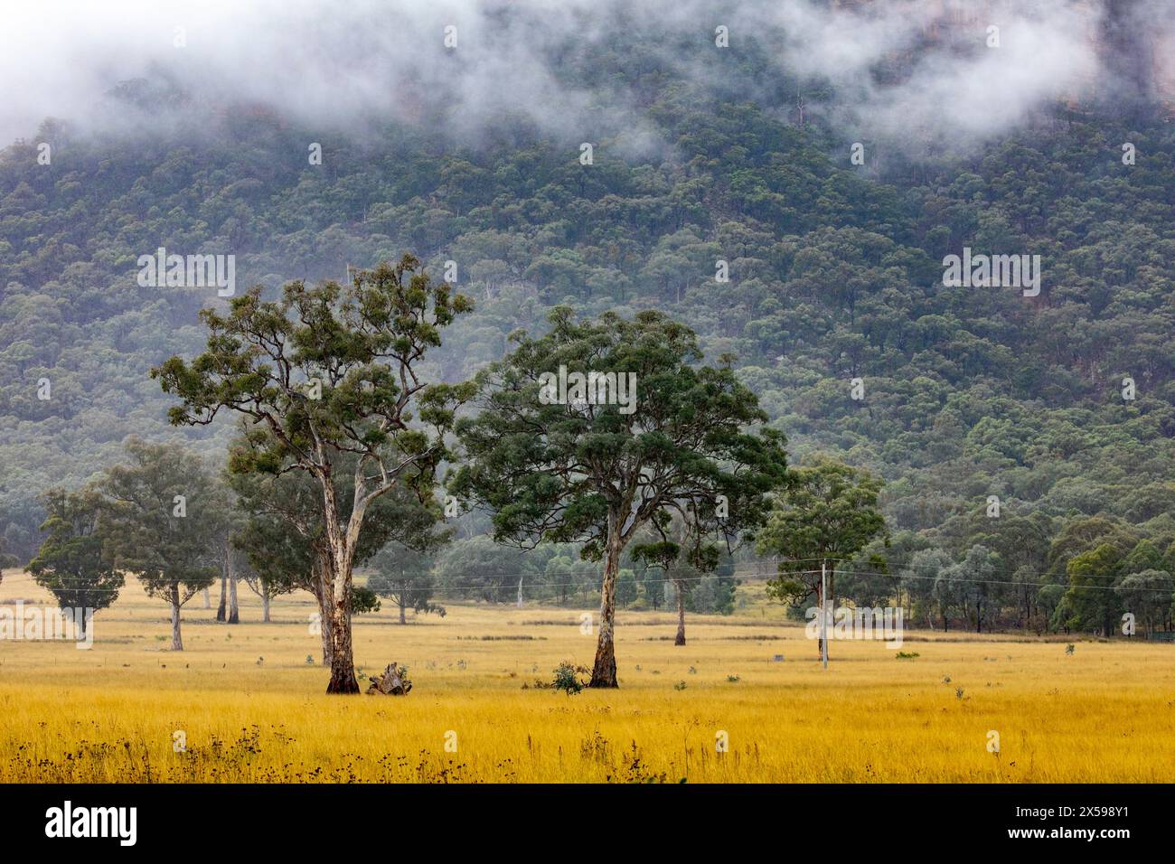 Wollemi national park in Australia with sandstone rainbow view of ...