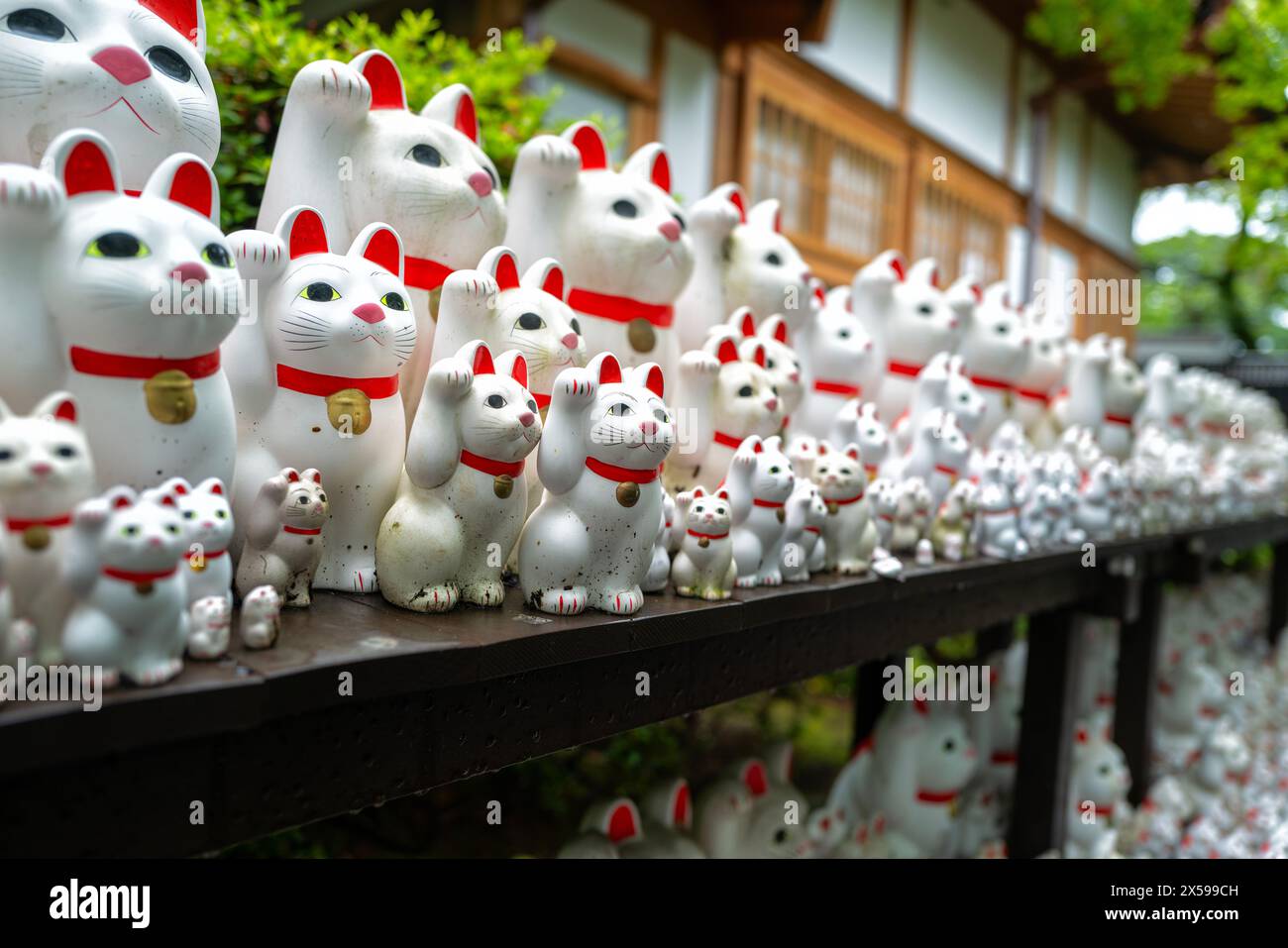 Maneki-neko "beckoning cat" statues at the famous cat shrine, Gotokuji Temple in Tokyo, Japan ...
