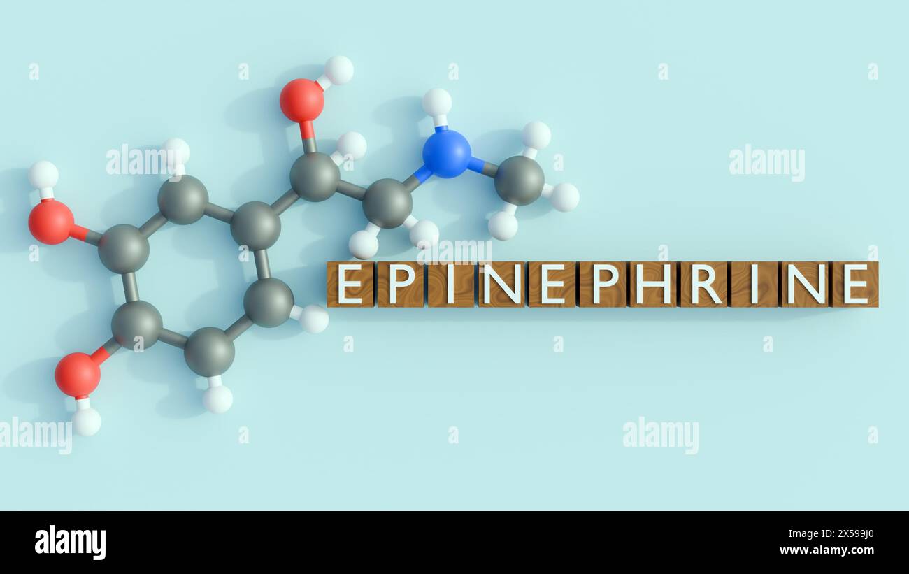 3d rendering of epinephrine or adrenaline molecule and epinephrine on ...
