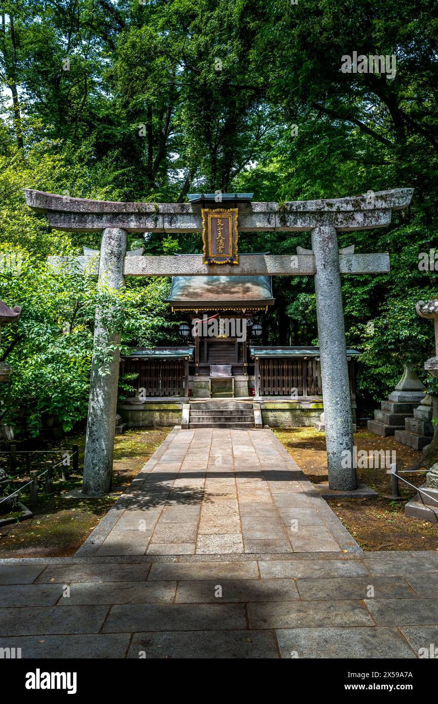 Torii pathway hi-res stock photography and images - Alamy