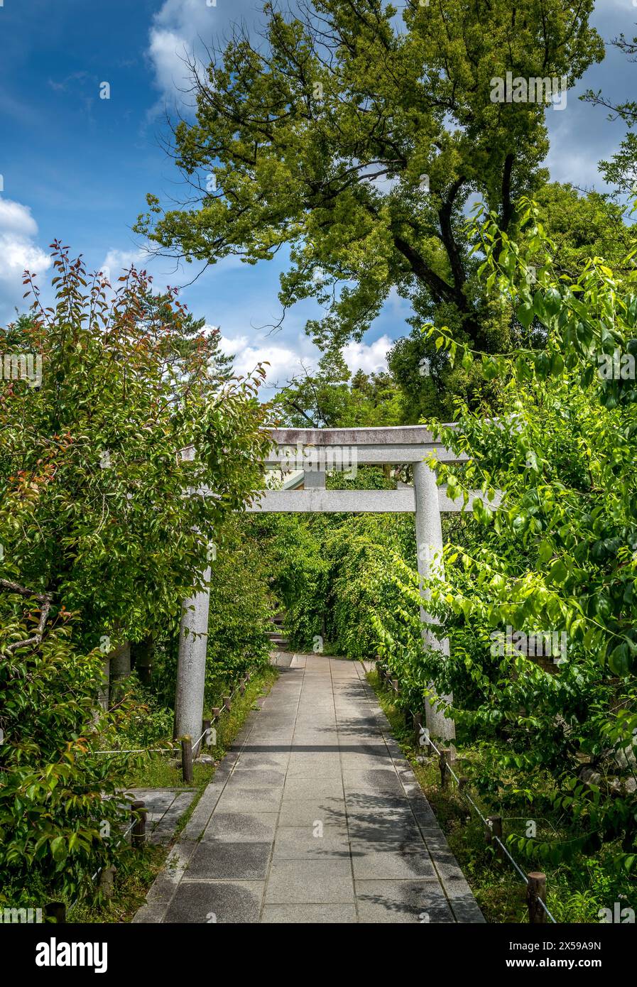 Torii pathway hi-res stock photography and images - Alamy