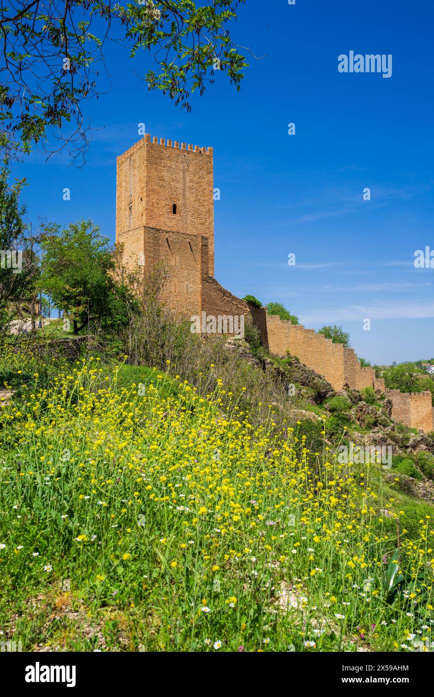 Castillo de la Yedra - castle of the Four Corners- Cazorla town ...