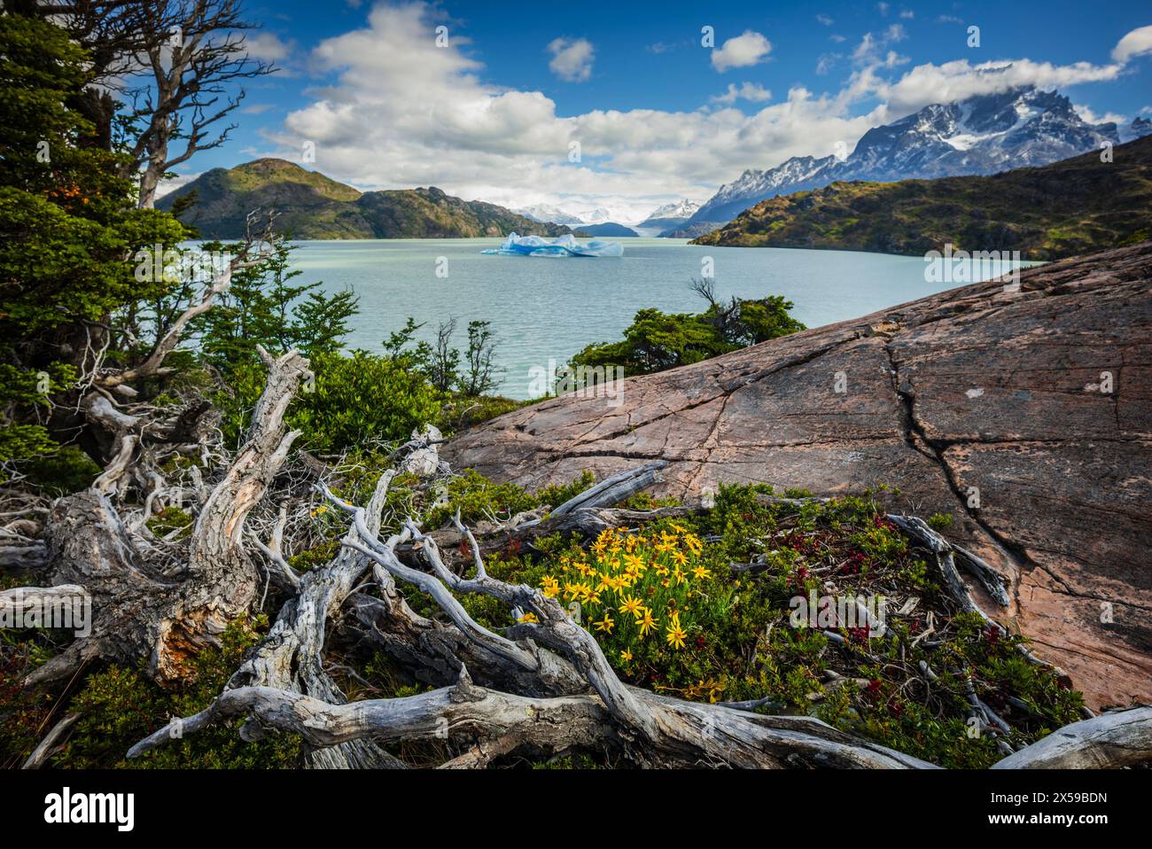 The wilderness landscape of Lago Gray, Torres del Paine, Patagonia ...