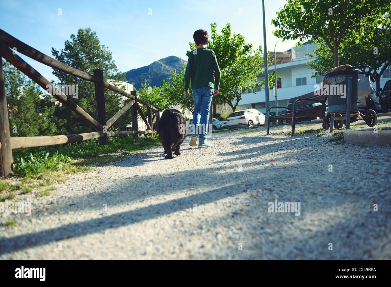 View from the back of child boy walking a dog outdoors. School age boy ...