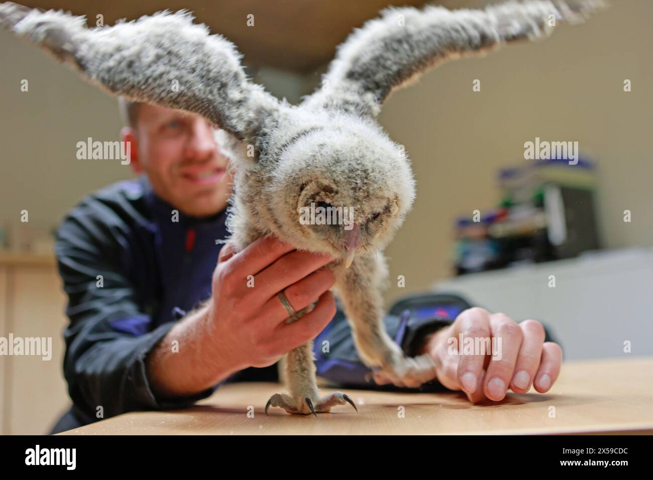 Owl times table hi-res stock photography and images - Alamy