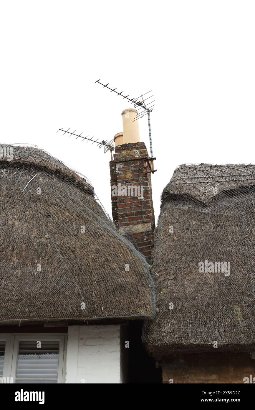 Two thatched houses side by side with chimney between them - concept ...