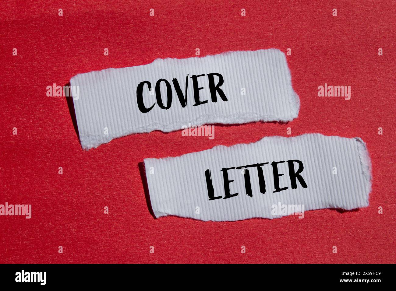 Cover letter words written on ripped white paper pieces with red ...
