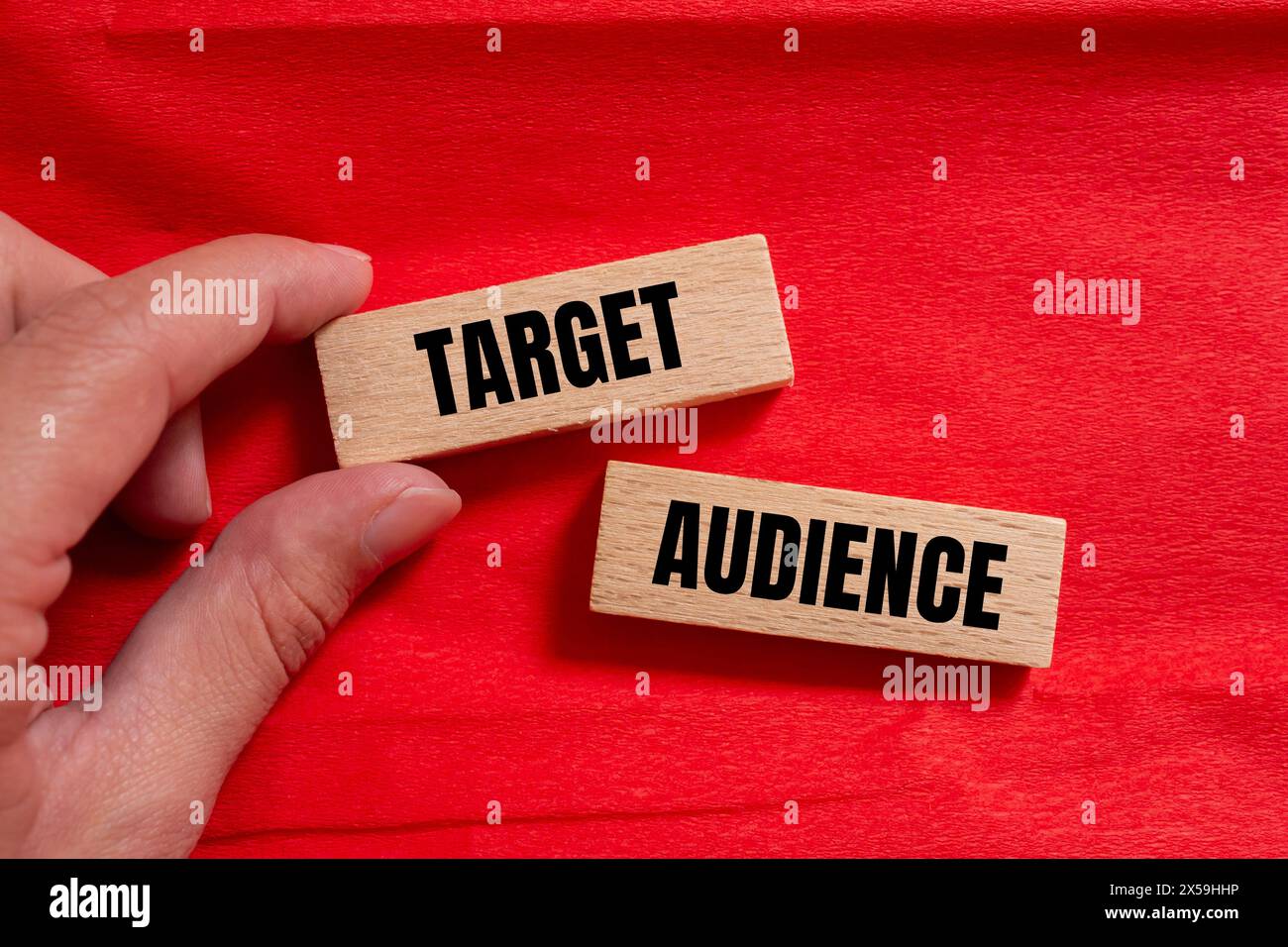 Target audience words written on wooden blocks with red background ...
