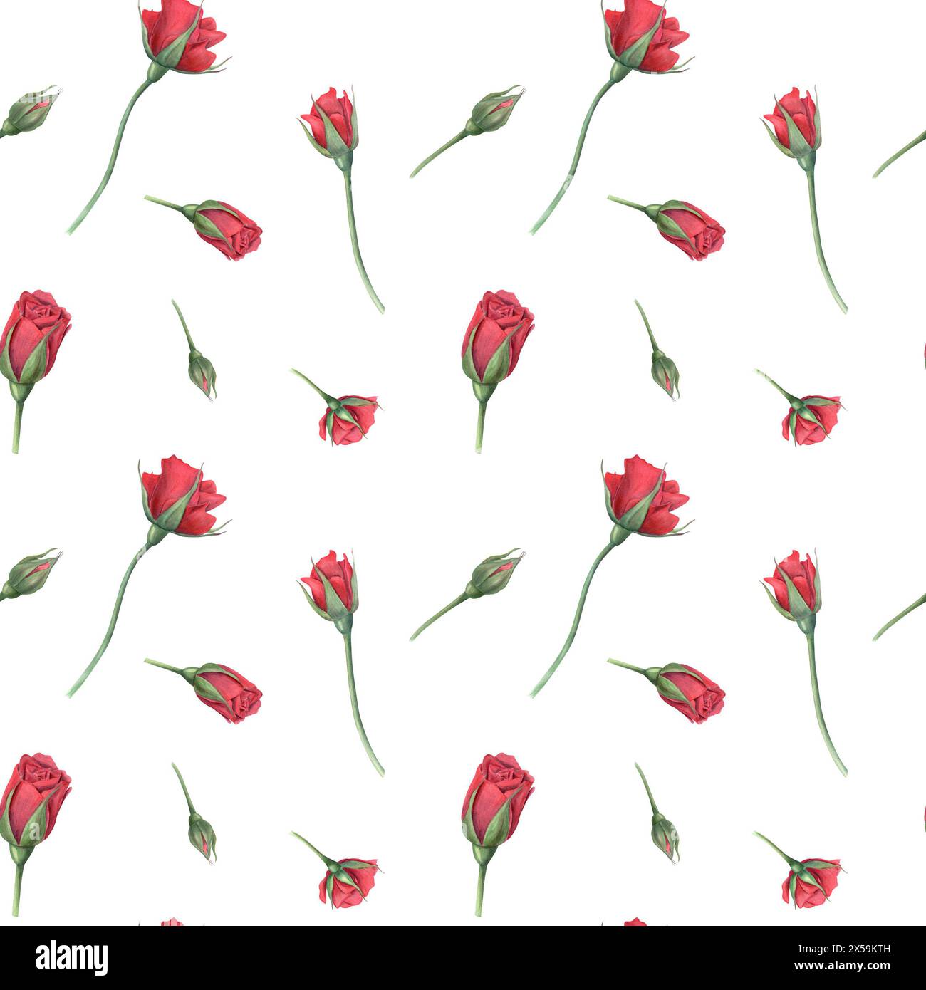 Realistic red roses. Flower and bud. Seamless pattern with garden ...