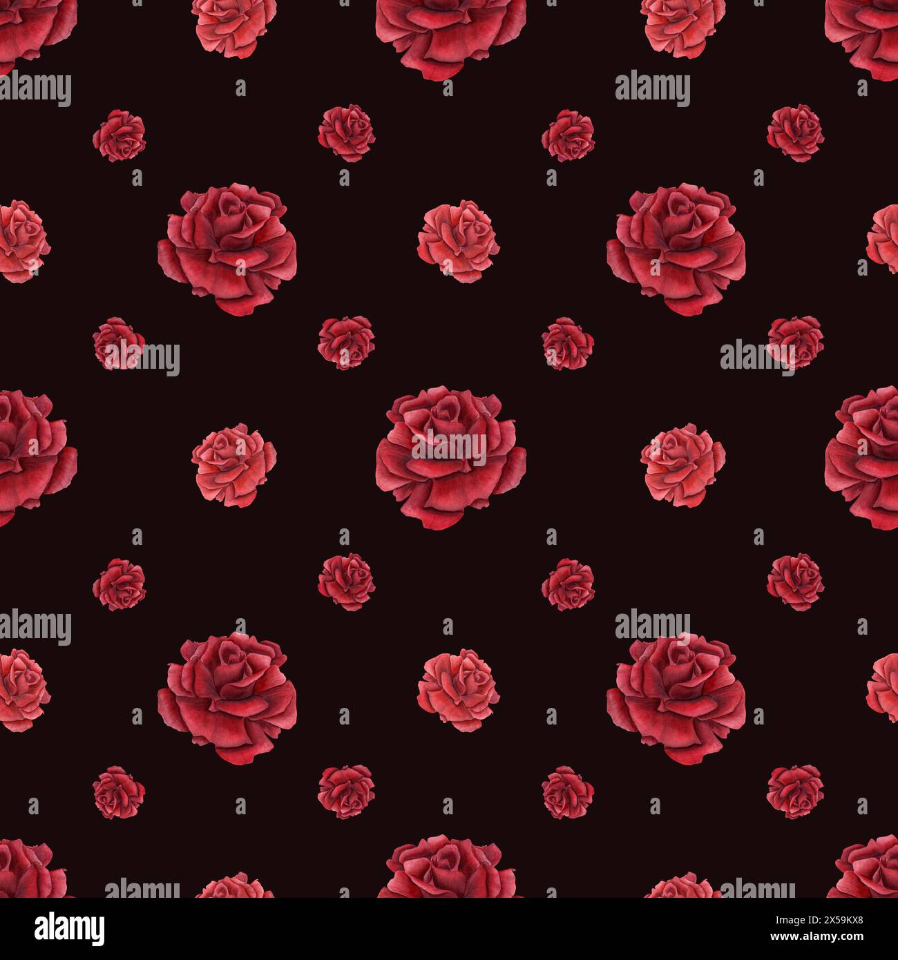 Rose heads on black background. Deep red flowers. Seamless pattern of ...