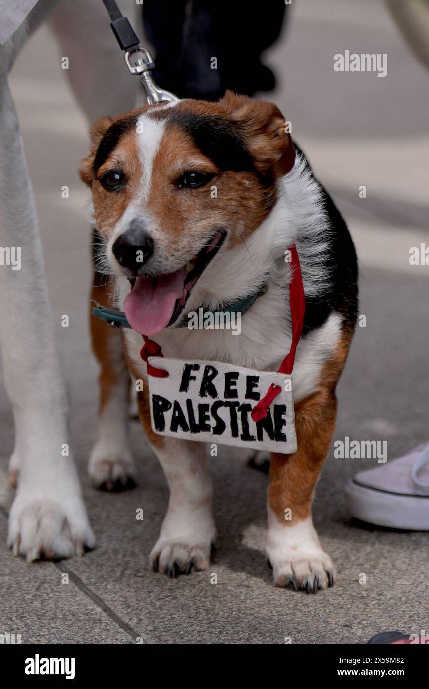 A dog with a sign around its collar joins demonstrators from the ...