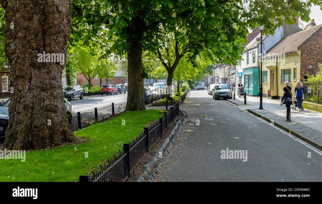 A sunny day on the tree lined High Street, Norton on Tees,England,UK ...
