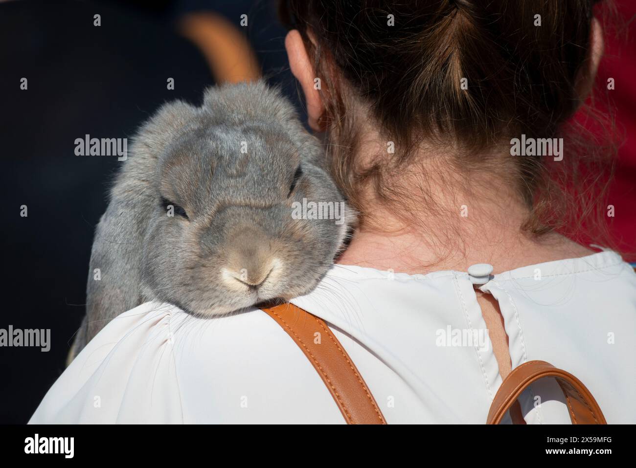 Resting head on shoulder hi-res stock photography and images - Alamy