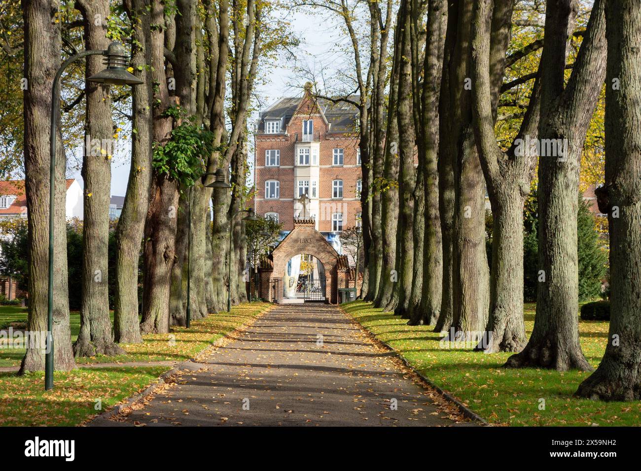 Alley with trees and red brick gate of Greyfriars Cemetery, Roskilde ...