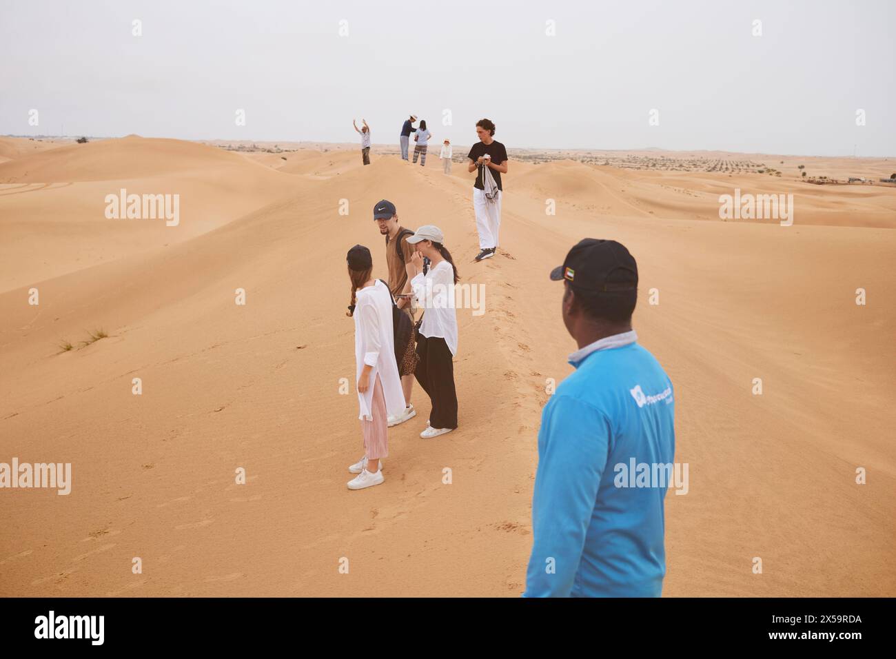 Desert Rub' al Khali in United Arab Emirates Stock Photo - Alamy