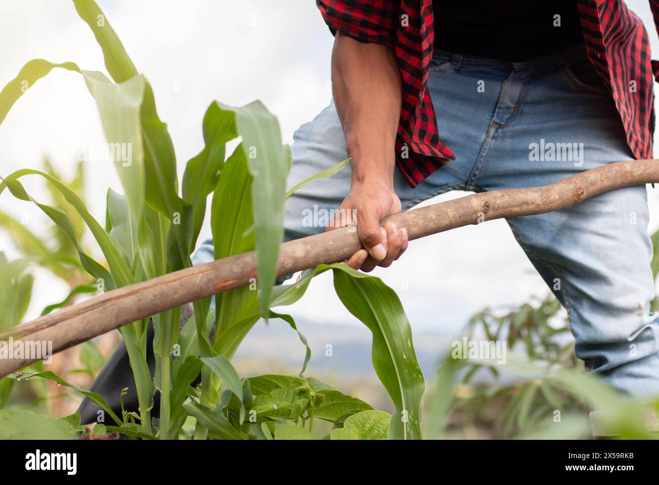 Close up farmers hands using hi-res stock photography and images - Alamy