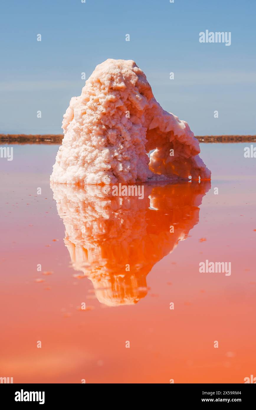 Unique Salt Formation at Alviso Pink Lake Park, California Stock Photo ...