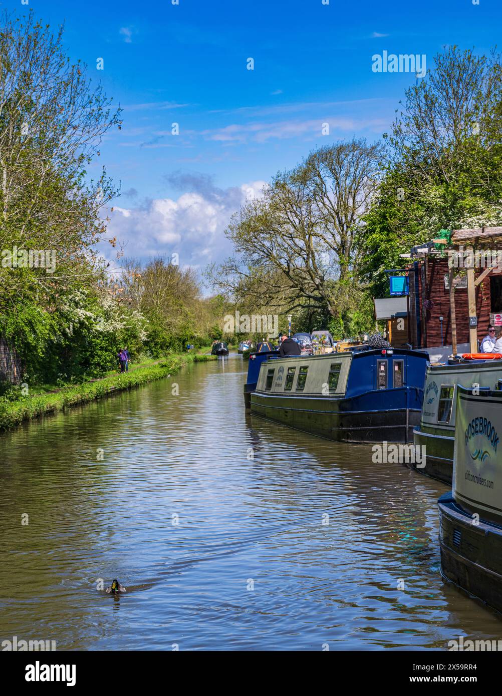 Rugby, Warwickshire, England – A narrowboat moored along the Oxford ...