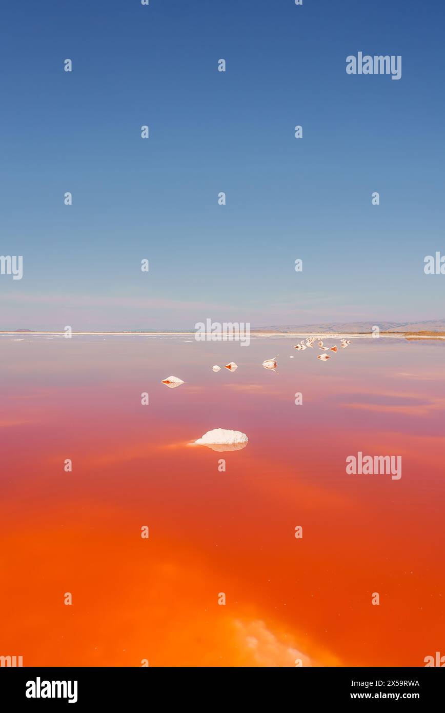 Vibrant Pink Lake with Salt Formations, Alviso Park, CA Stock Photo - Alamy