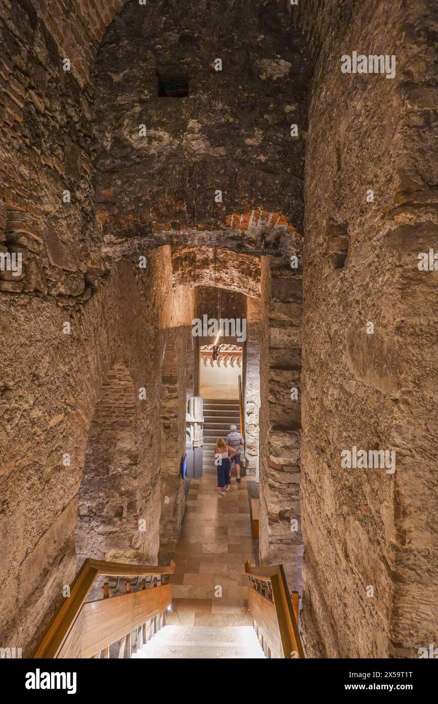 Hungary, Budapest, Buda Castle was built on the southern tip of Castle ...