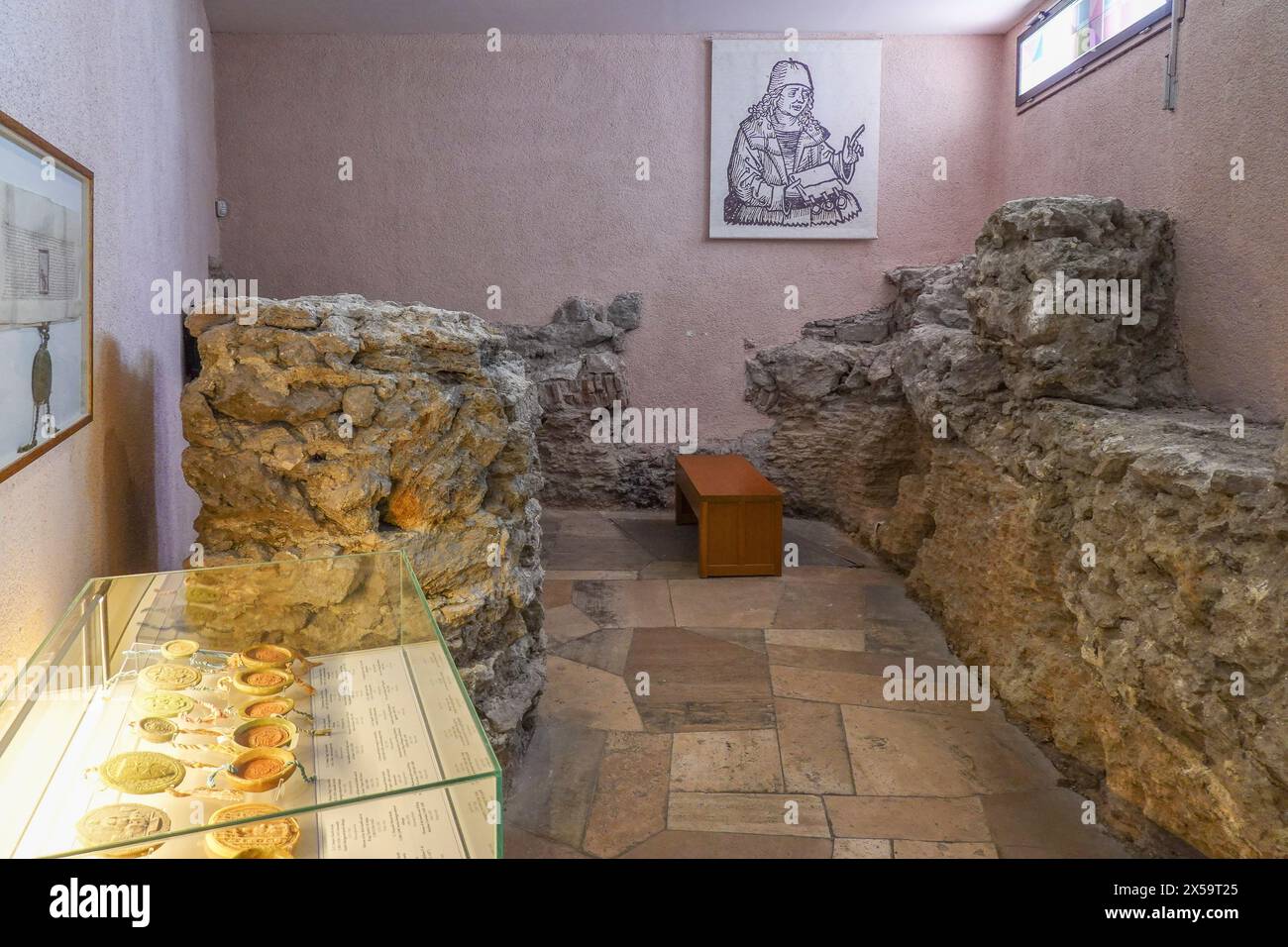 Hungary, Budapest, Buda Castle was built on the southern tip of Castle ...