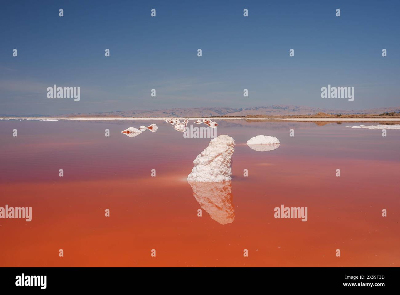 Vibrant Pink Lake with White Salt Formations, Alviso Park Stock Photo ...