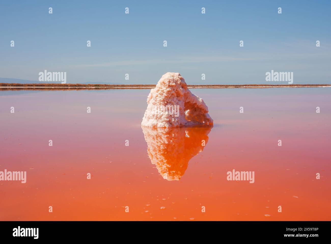 Pink Lake Park Salt Formation Reflection, Alviso, California Stock ...