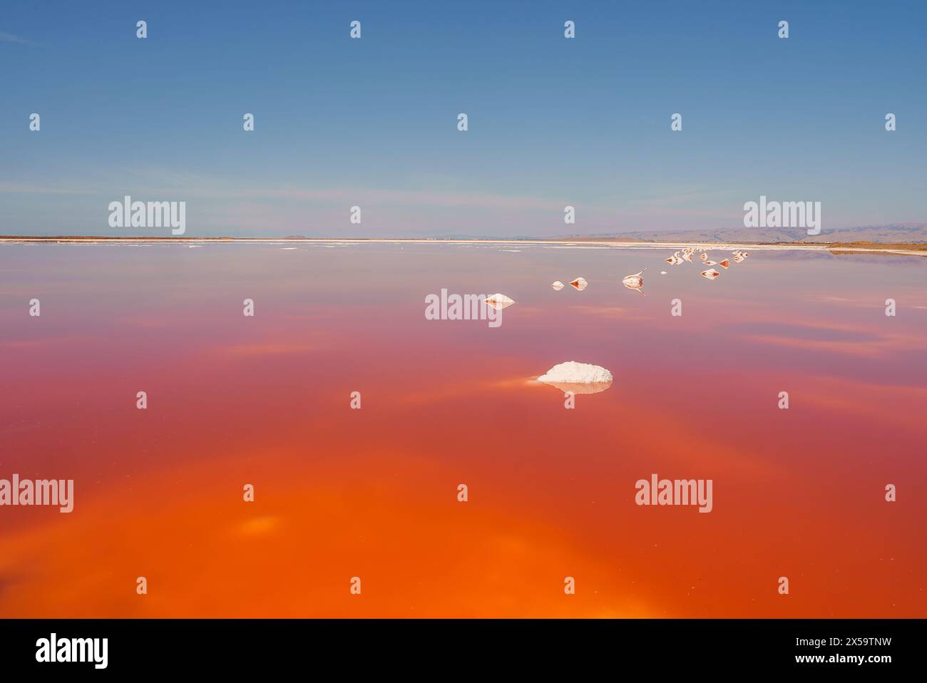 Wetland_area hi-res stock photography and images - Alamy