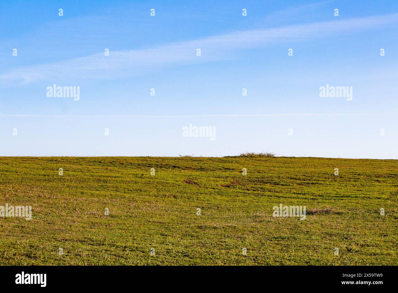 Blue sky meets green meadows on the horizon. Photo like windows ...