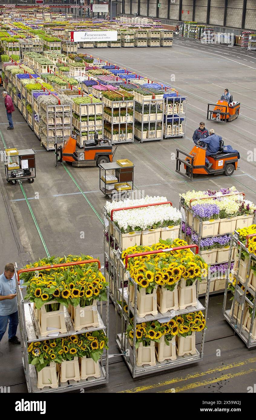 Distribution hall, Flower Auction (Bloemenveiling) Aalsmeer ...