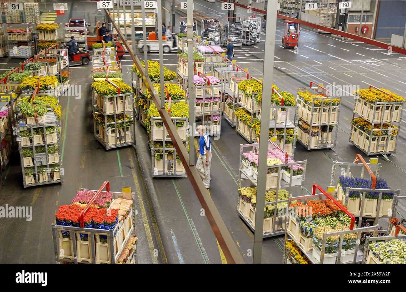 Distribution hall, Flower Auction (Bloemenveiling) Aalsmeer ...