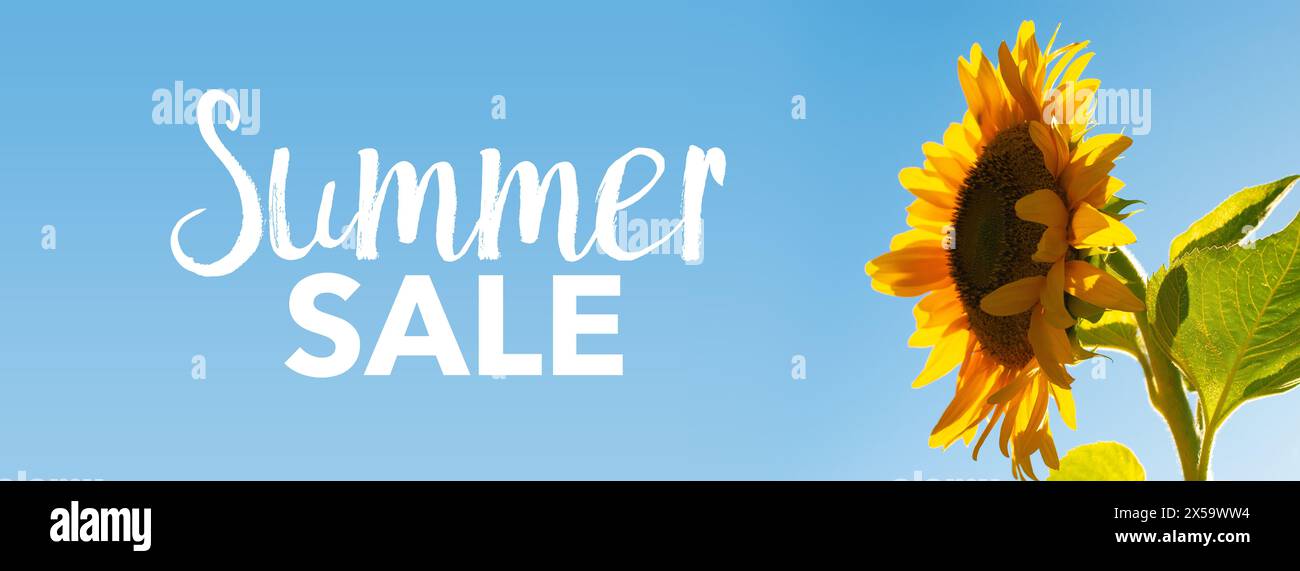 Summer sale web banner. Panoramic photograph of a sunflower against ...