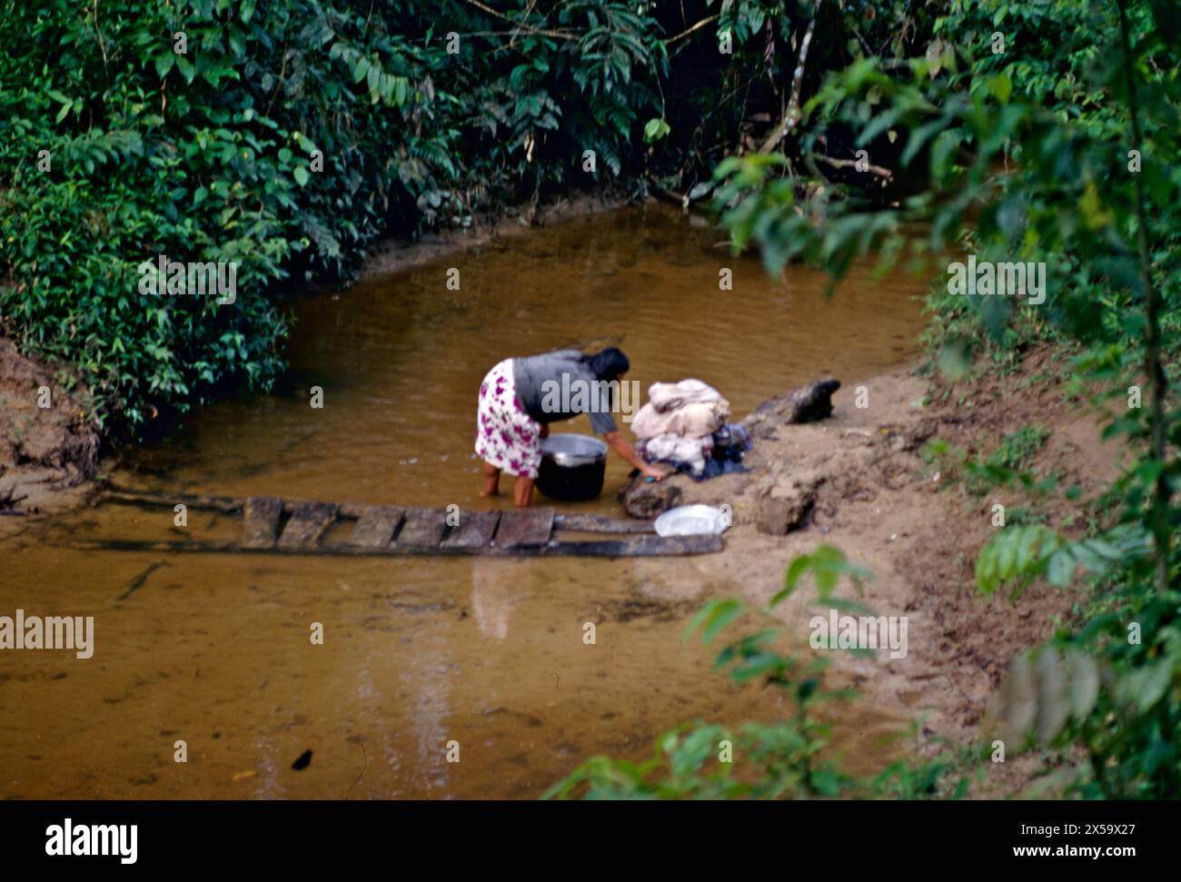 An indigenous Huaorani woman does laundry in a river in her village in ...