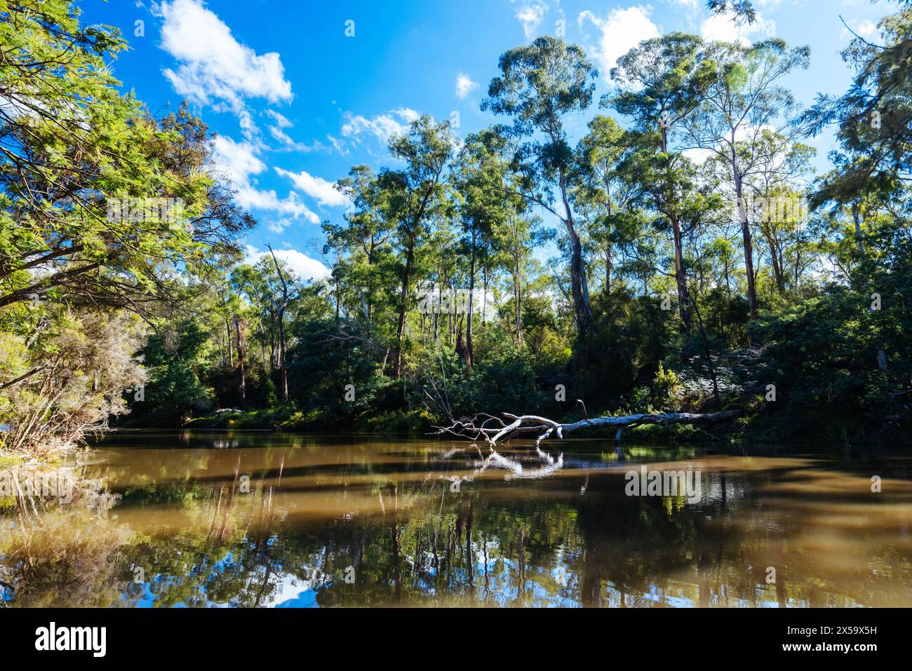 Warrandyte River Reserve and surrounding landscape on a cool autumn day ...