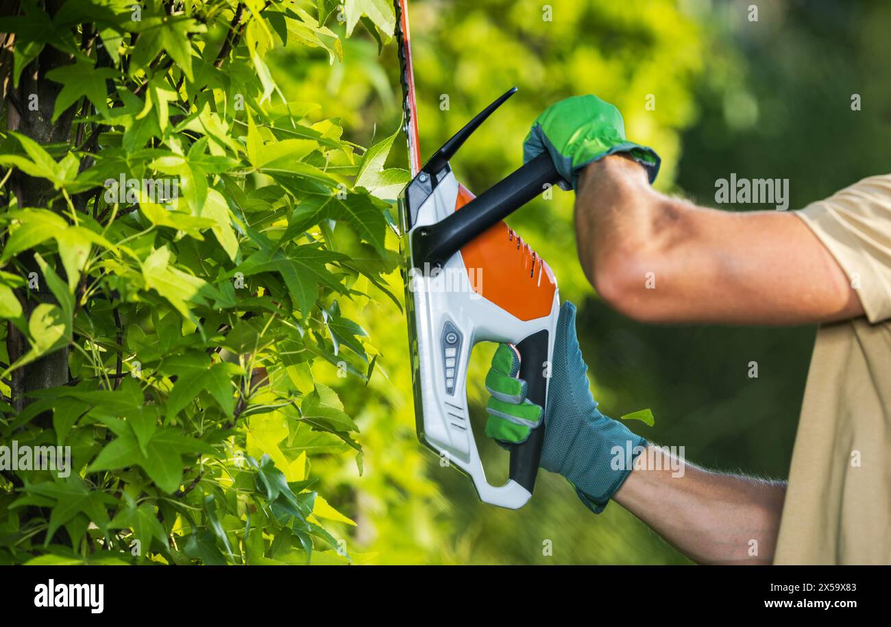Landscaping Worker Shaping Garden Trees Using Hedge Trimmer Close Up ...
