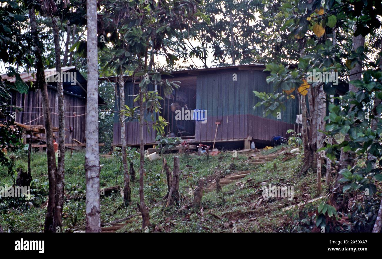 Traditional houses of the indigenous Huaorani people in the Amazon ...