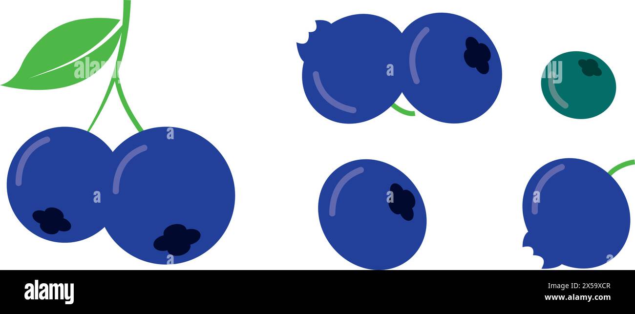 Blueberry plant autumn garden Cut Out Stock Images & Pictures - Alamy