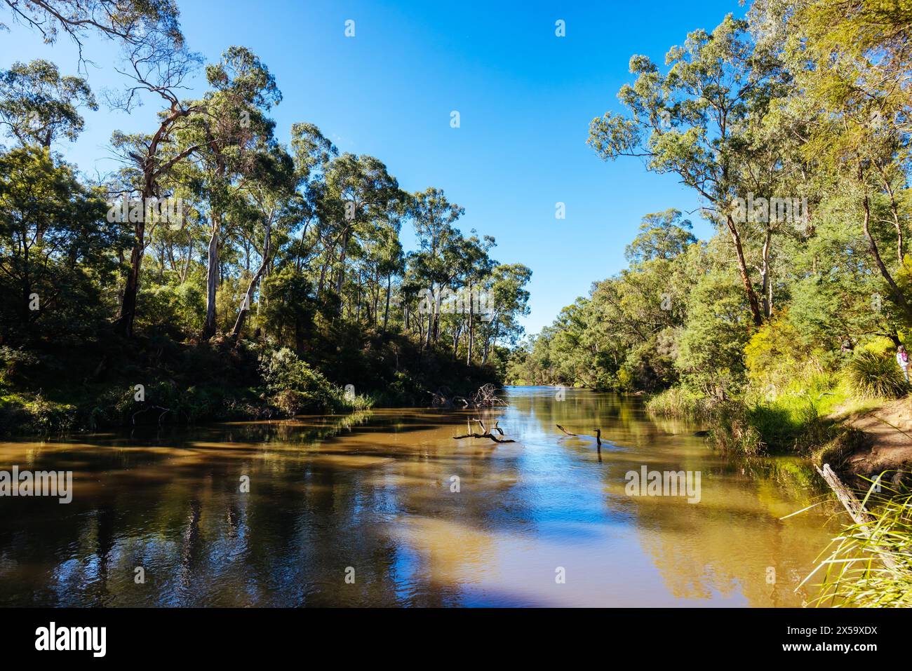 Warrandyte River Reserve and surrounding landscape on a cool autumn day in Warrandyte, Victoria ...