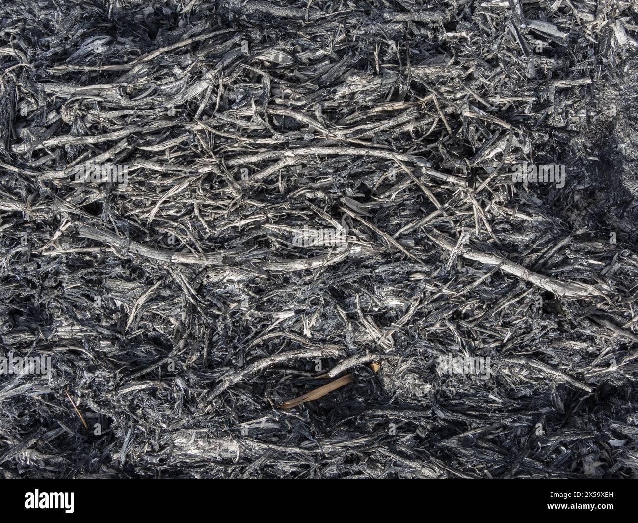 Burnt stubble hi-res stock photography and images - Alamy