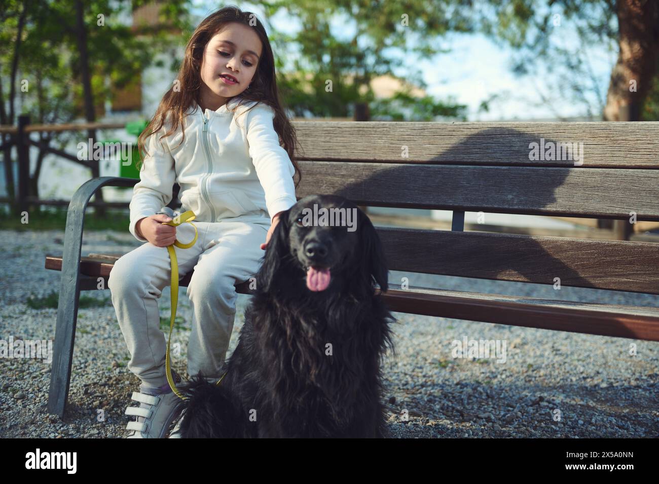 Caucasian little kid girl walking her cocker spaniel dog, sitting on ...