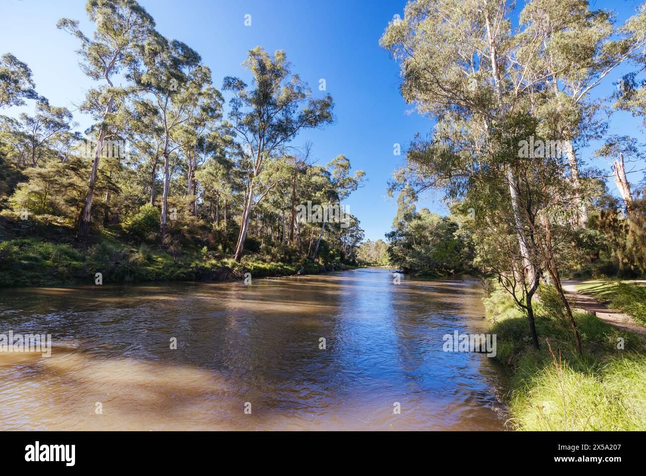 Warrandyte River Reserve in Melbourne Australia Stock Photo - Alamy