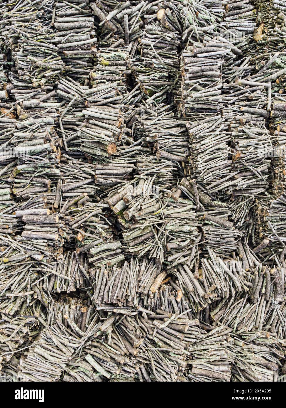 The exploitation of forests for timber, top view of a stacked wood ...
