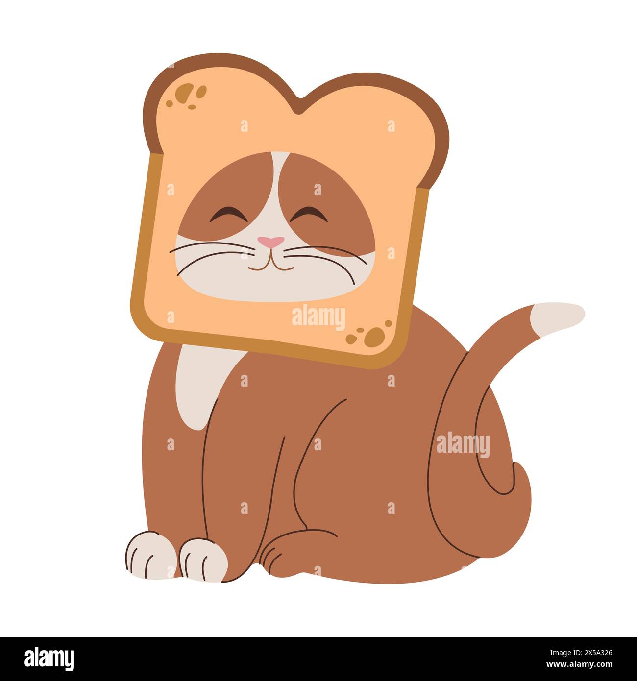 Adorable plump cat with slice of bread on his head. Funny cute pets ...