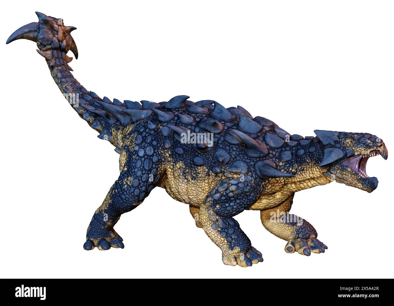 3D rendering of a dinosaur Ankylosaurus isolated on white background ...