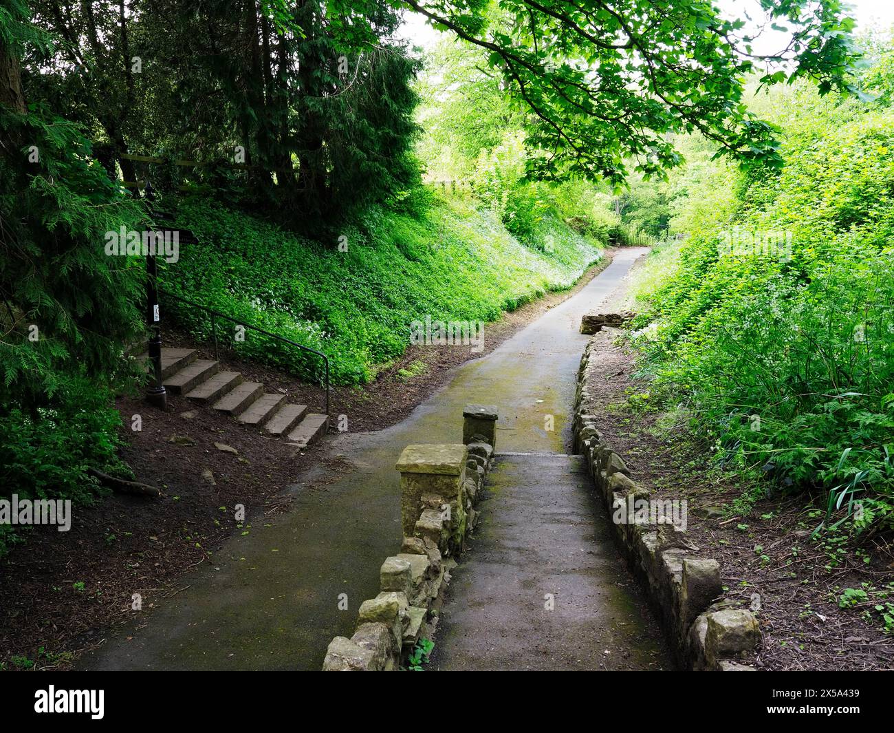 Shady vibrant path along hi-res stock photography and images - Alamy