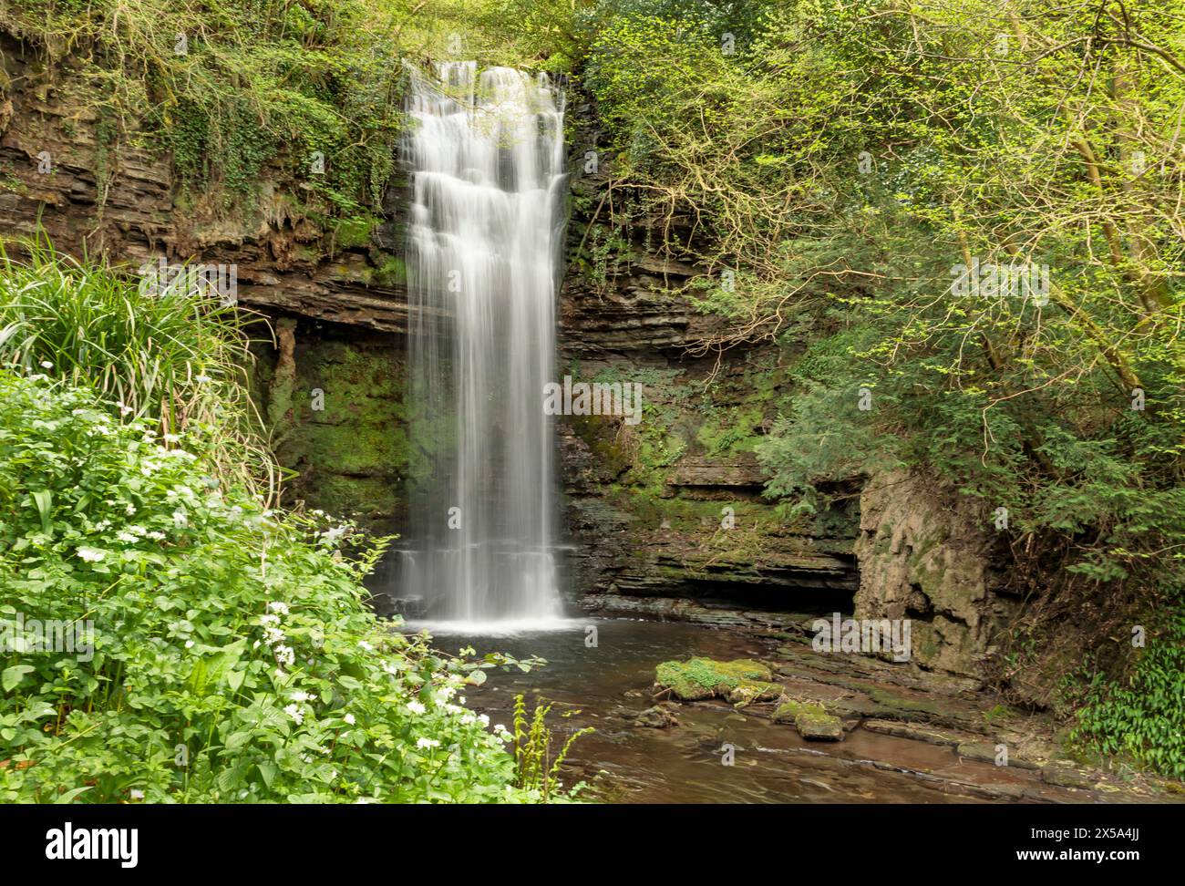 Beautiful waterfall cascading and dropping into a pool and carrying on ...