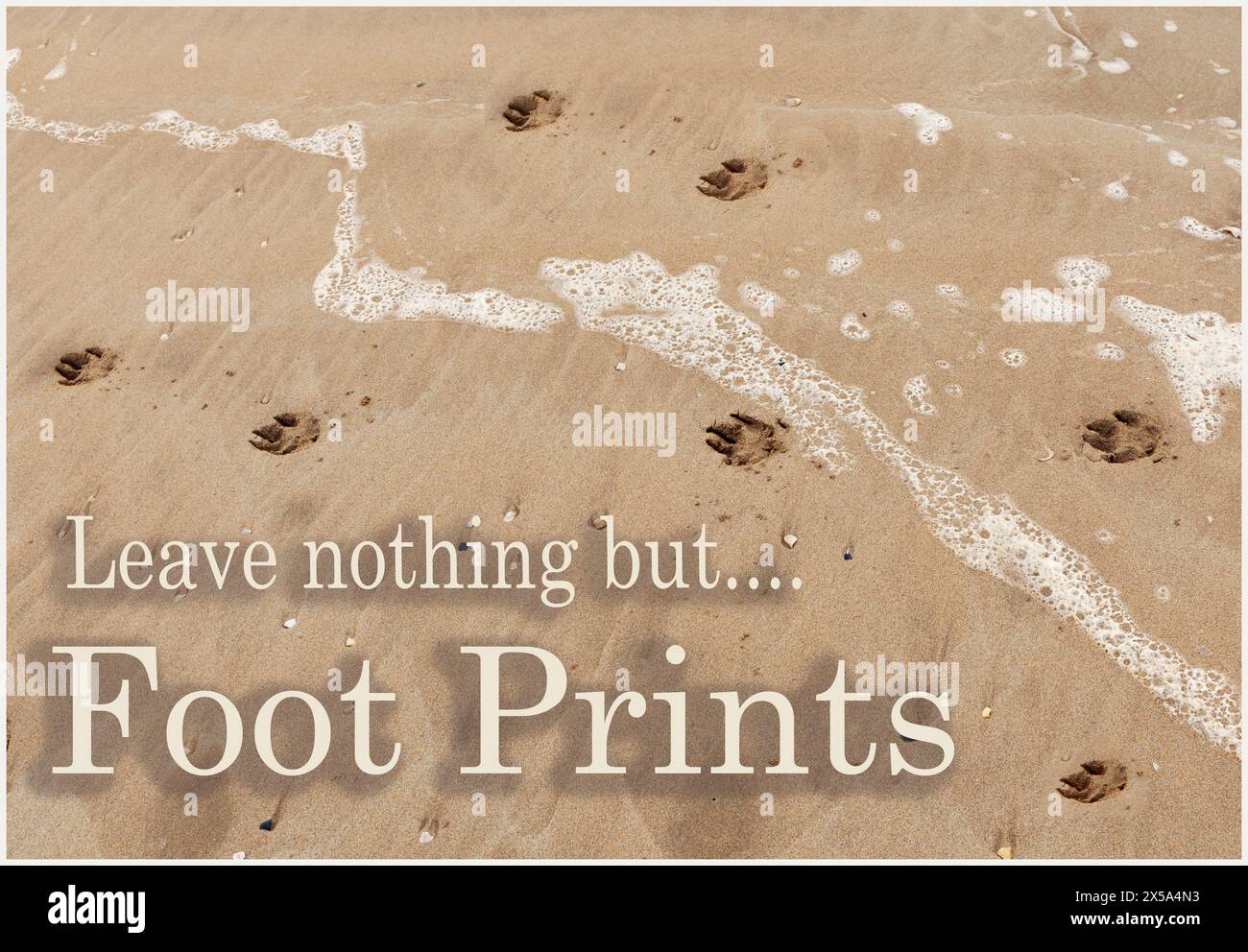 Sign for leave nothing but foot prints using dog footprints on the ...